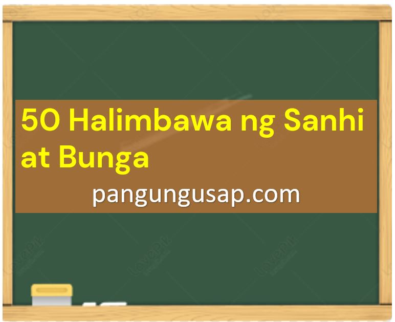 50 halimbawa ng sanhi at bunga
